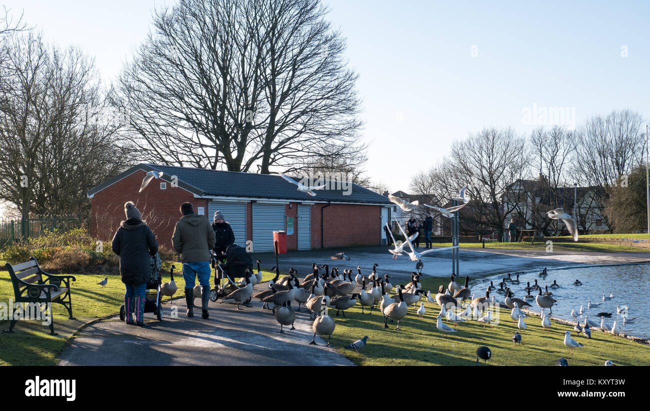 Winter in clarence park hi-res stock photography and images - Alamy