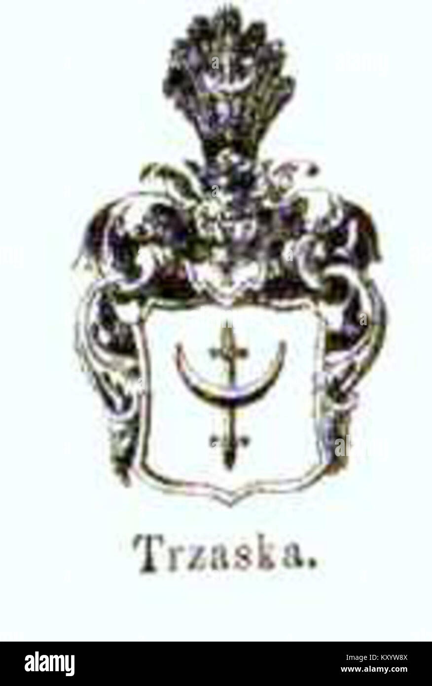 Herb Trzaska (Orgelbrand Stock Photo - Alamy