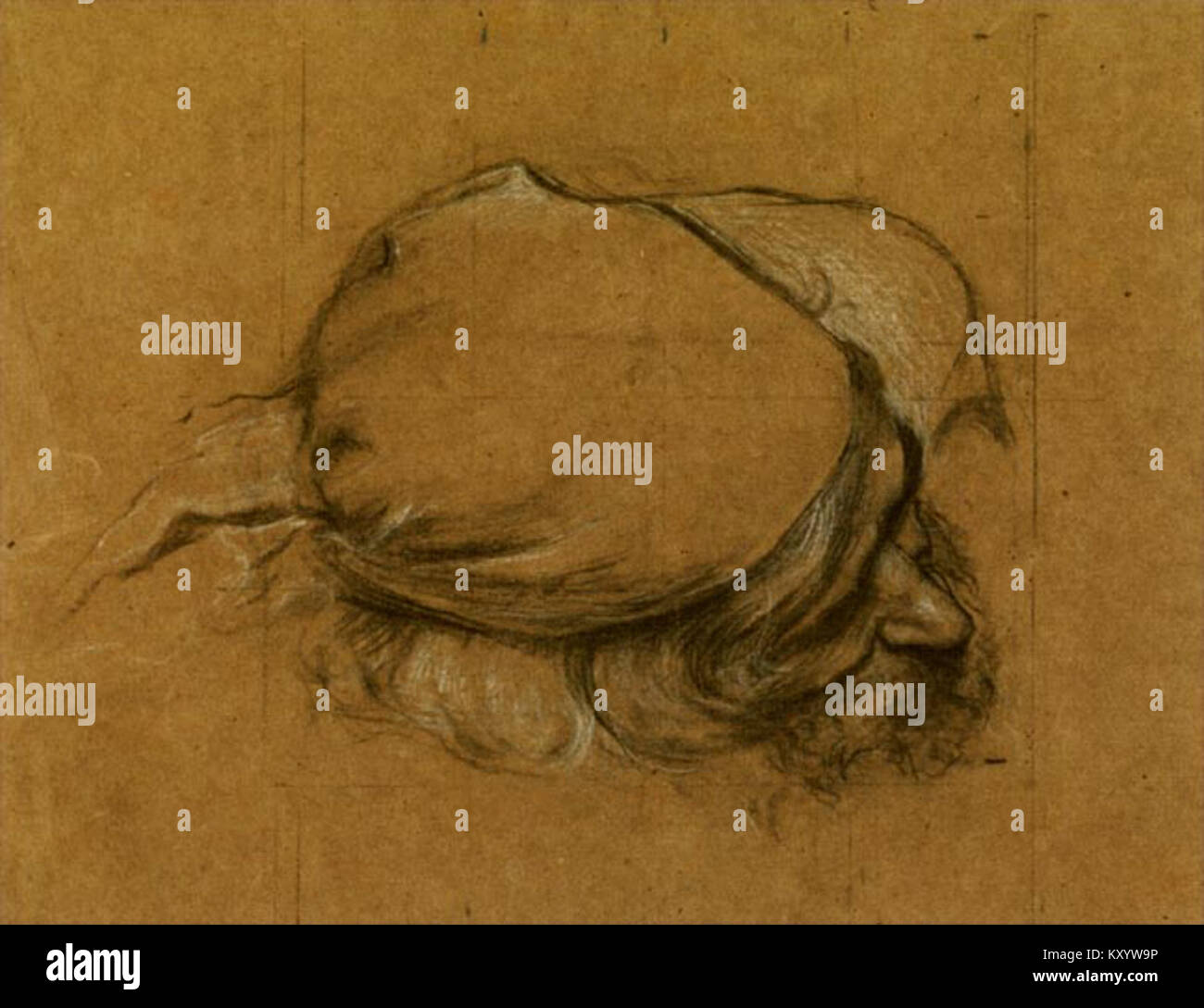 James maiden hi-res stock photography and images - Alamy