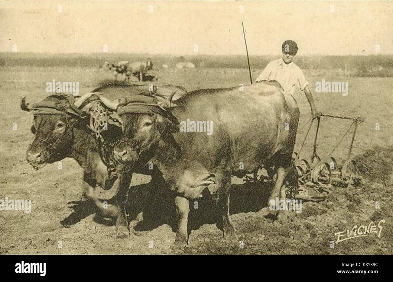 Old herse hi-res stock photography and images - Alamy