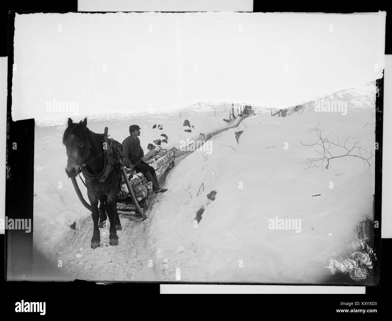 Hest timber hi-res stock photography and images - Alamy