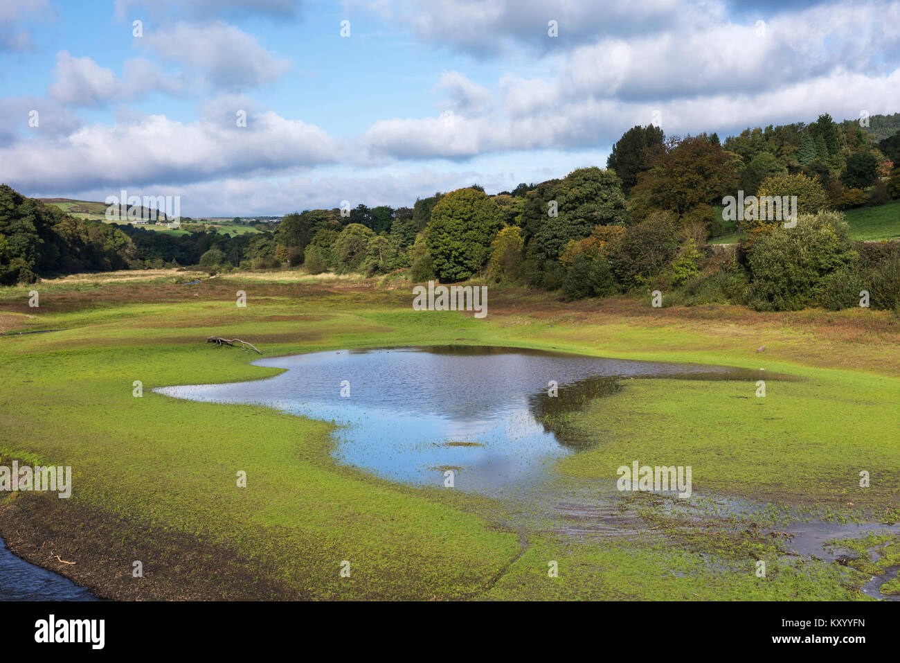Small section of Lindley Wood Reservoir in beautiful Washburn Valley ...