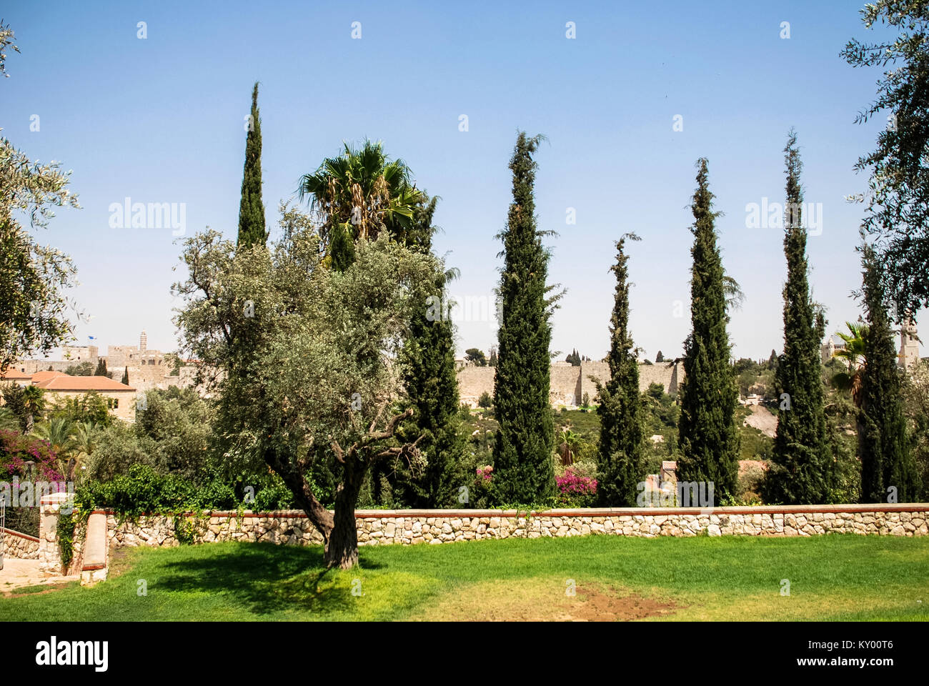 Horizontal picture of green garden and beautiful trees outside the ...