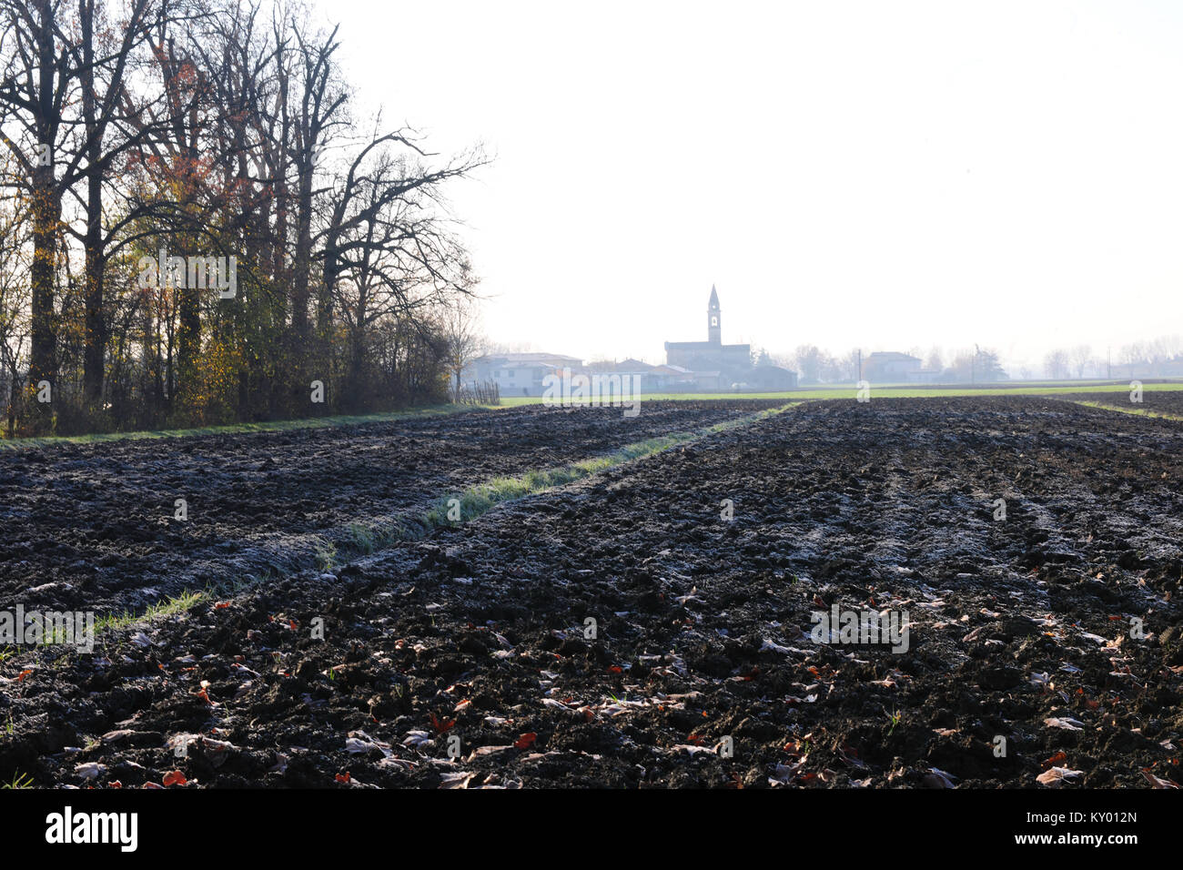 Landscape, 2012, Busseto, Parma, Italy Stock Photo - Alamy