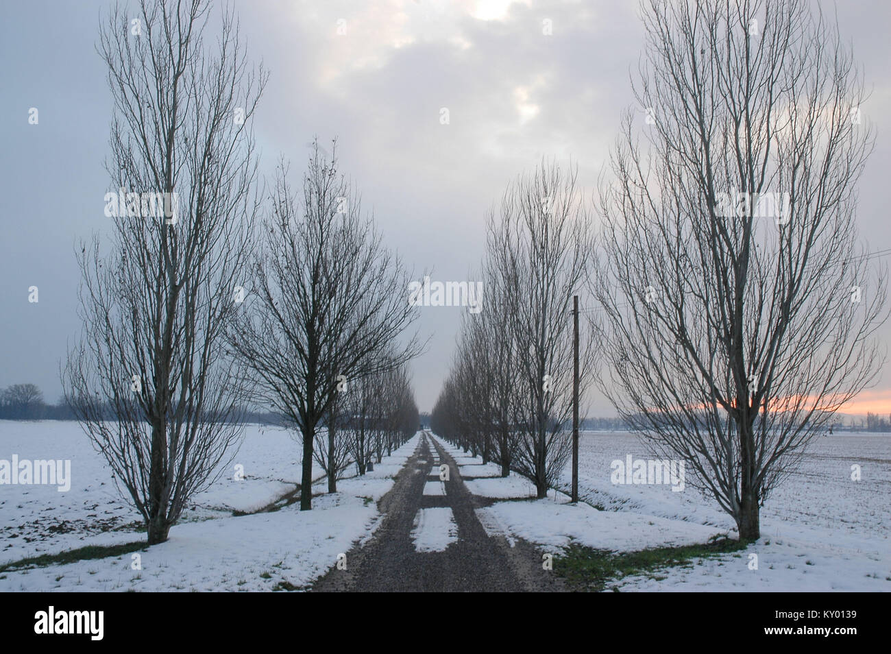Landscape, snow, winter, 2005, Busseto, Parma, Italy Stock Photo - Alamy
