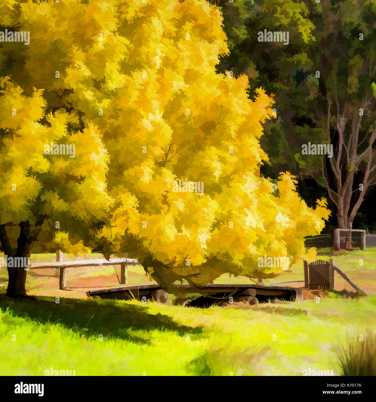 Large autumn tree in park with bridge and gate Stock Photo - Alamy