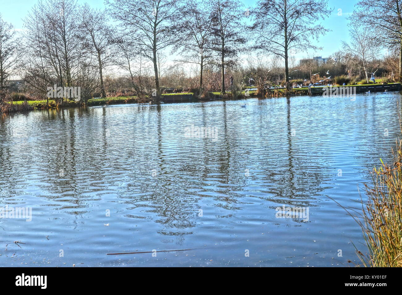 Northala Fields, Northolt, London, United Kingdom Stock Photo - Alamy