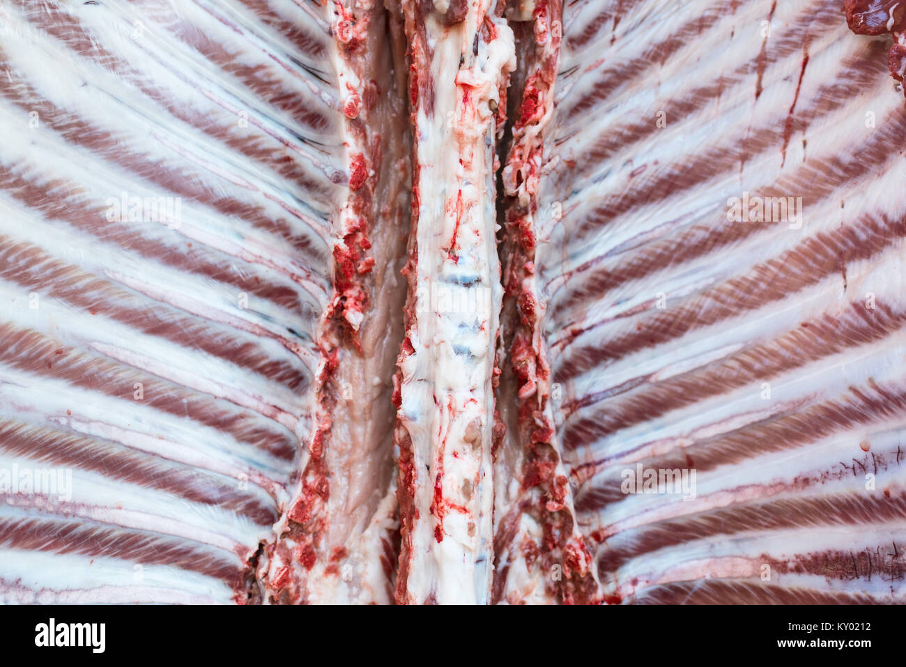 Pigs are ribs, open pork carcass, pig hangs on the hook, close Stock ...