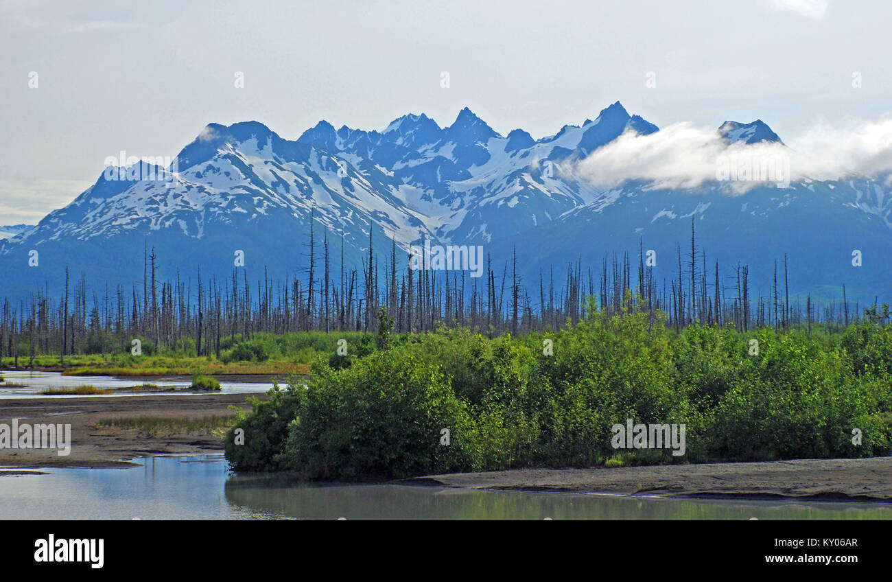 Copper river delta hi-res stock photography and images - Alamy