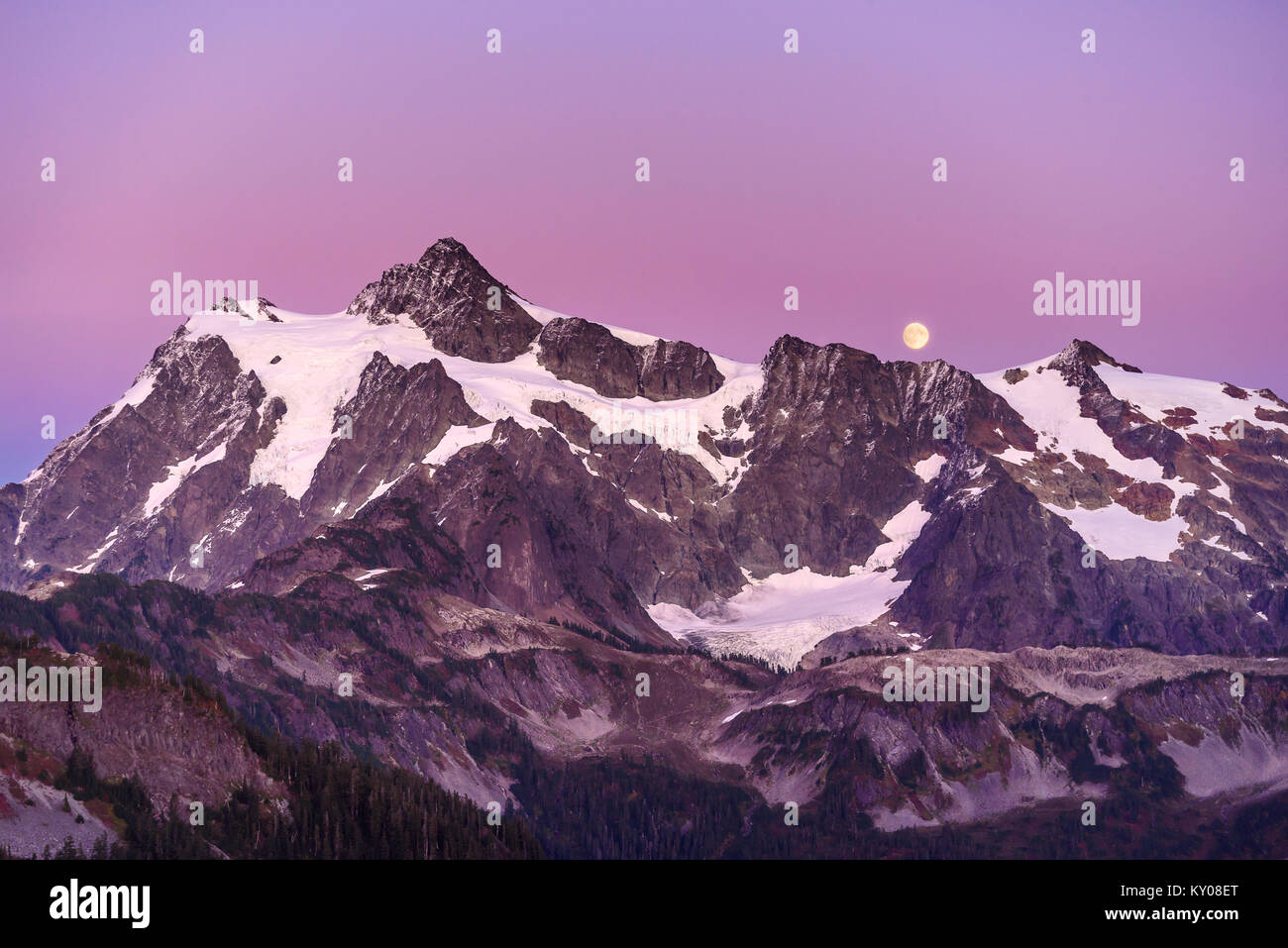 A full moon rises over Mt Shuksan in October as the setting sun turns ...