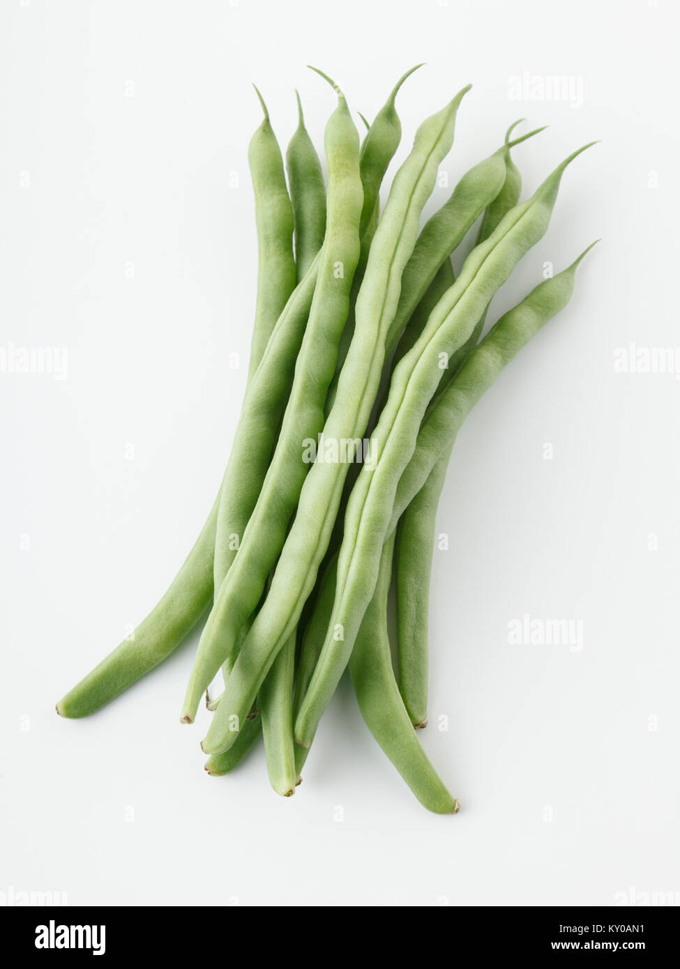 High polymer vertical plant hi-res stock photography and images - Alamy