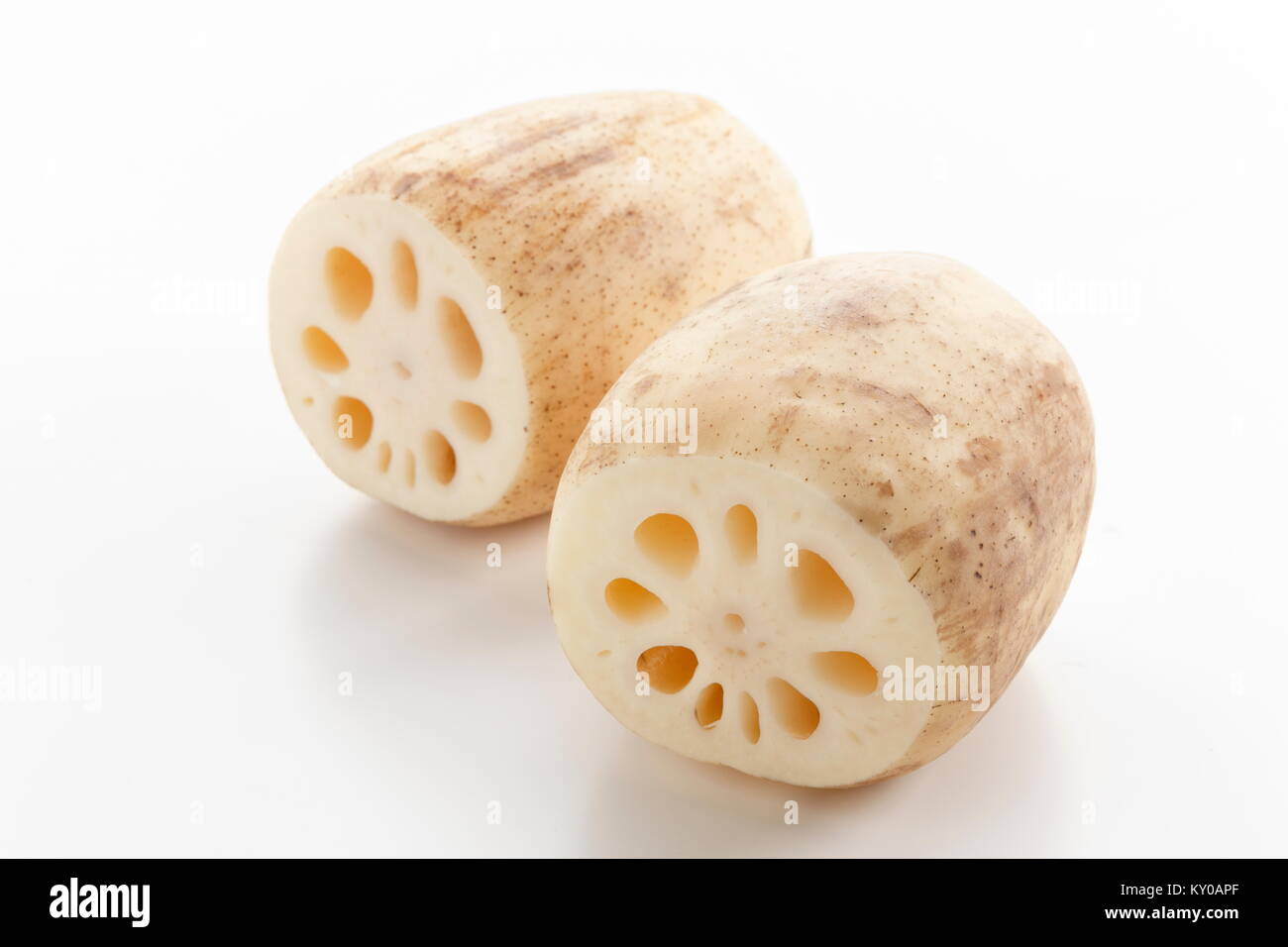 Lotus root cross section hi-res stock photography and images - Alamy