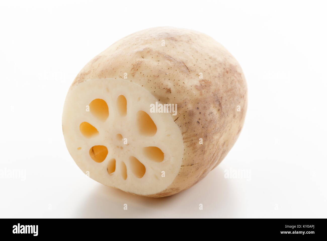 Lotus root cross section hi-res stock photography and images - Alamy