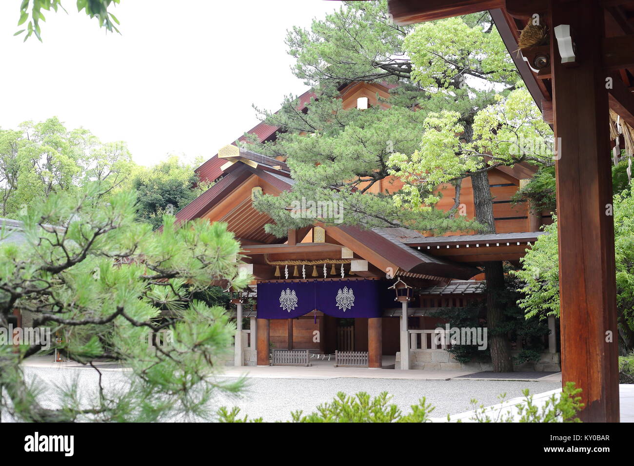 Bonsai tree shrine in hi-res stock photography and images - Alamy