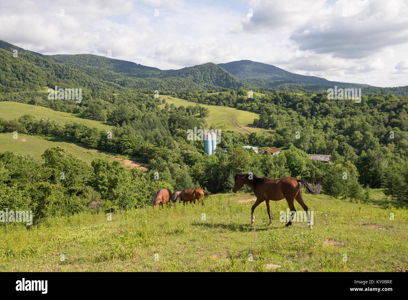 Ranch operation hi-res stock photography and images - Alamy