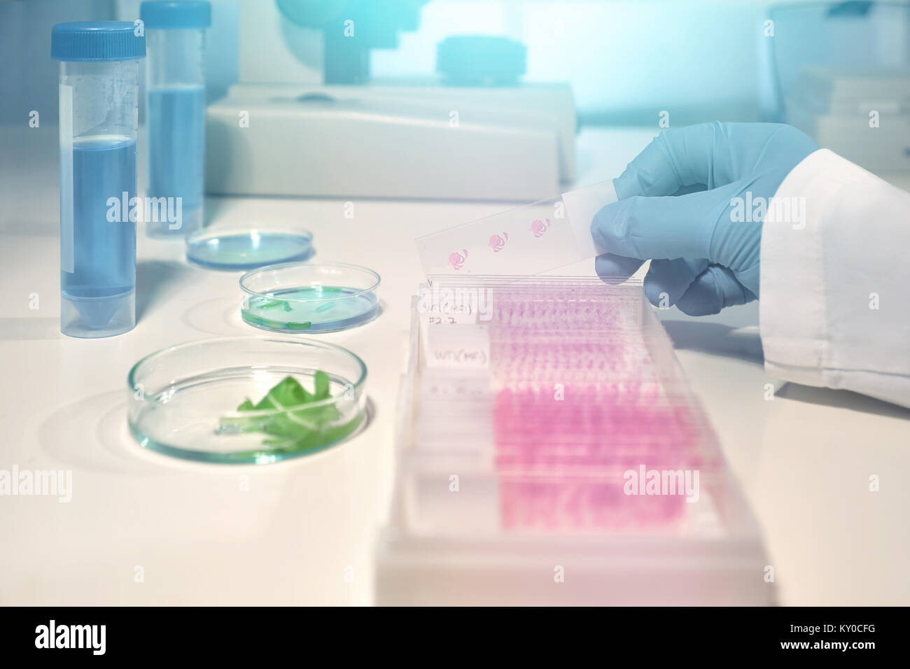 Scientific background with microscope room and microscopic slide in ...