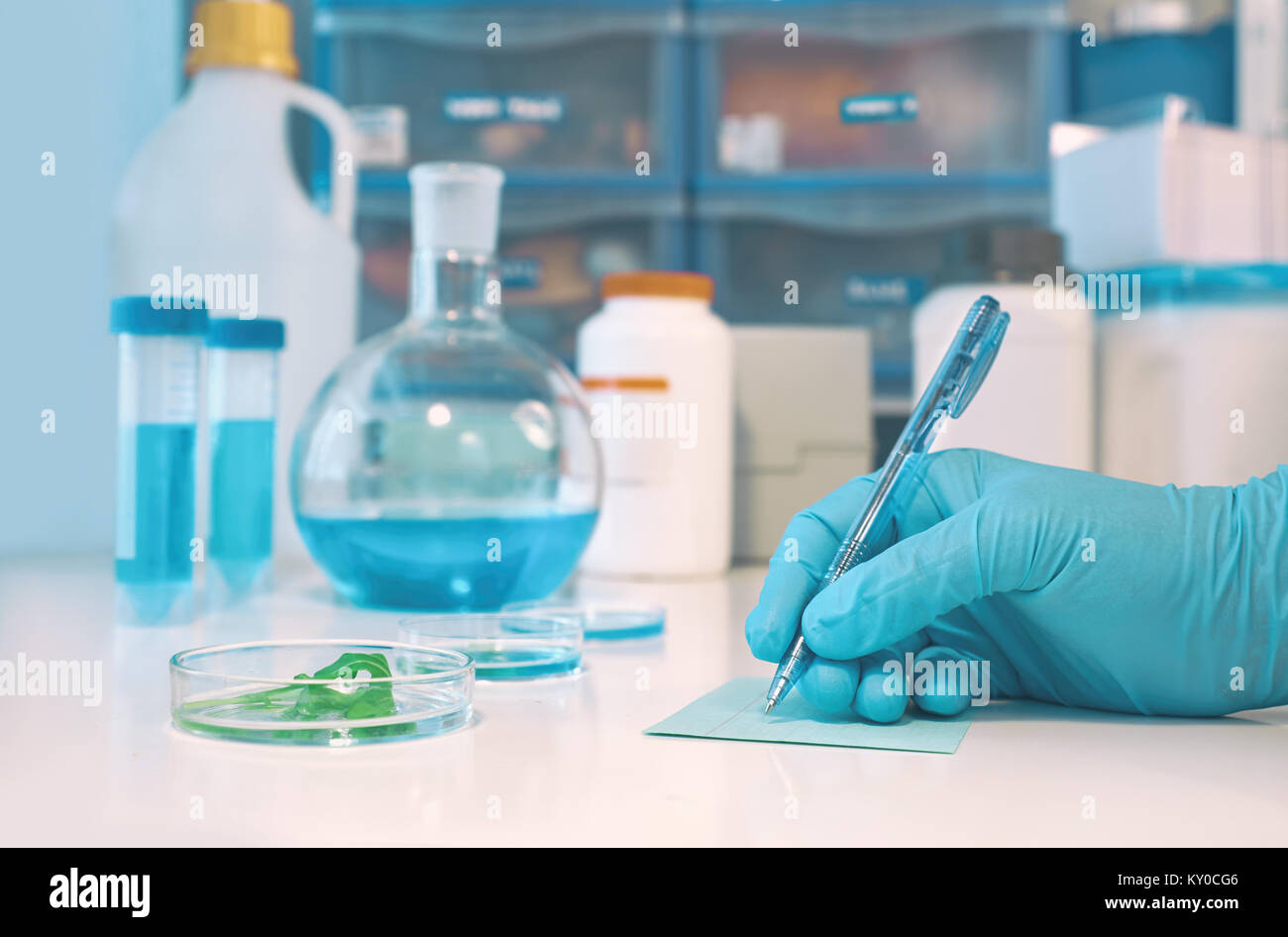Assay scientific procedure hi-res stock photography and images - Alamy