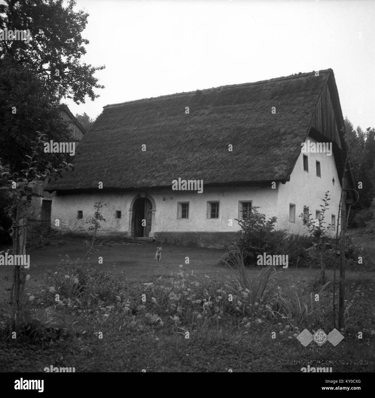 Peternel hi-res stock photography and images - Alamy