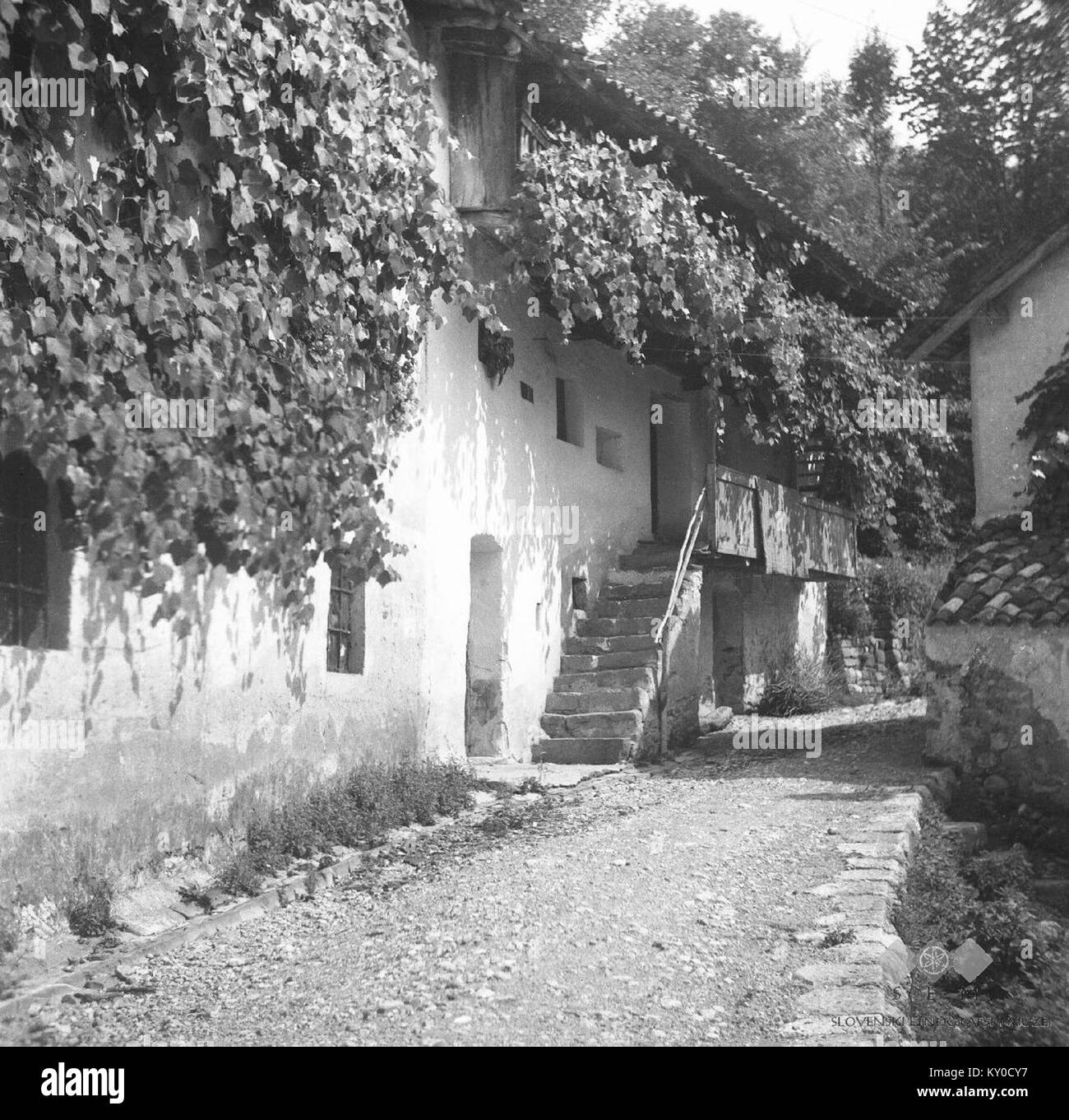 Photograph of Hisa Podbela near Mehevec, Slovenia, taken in 1951 ...