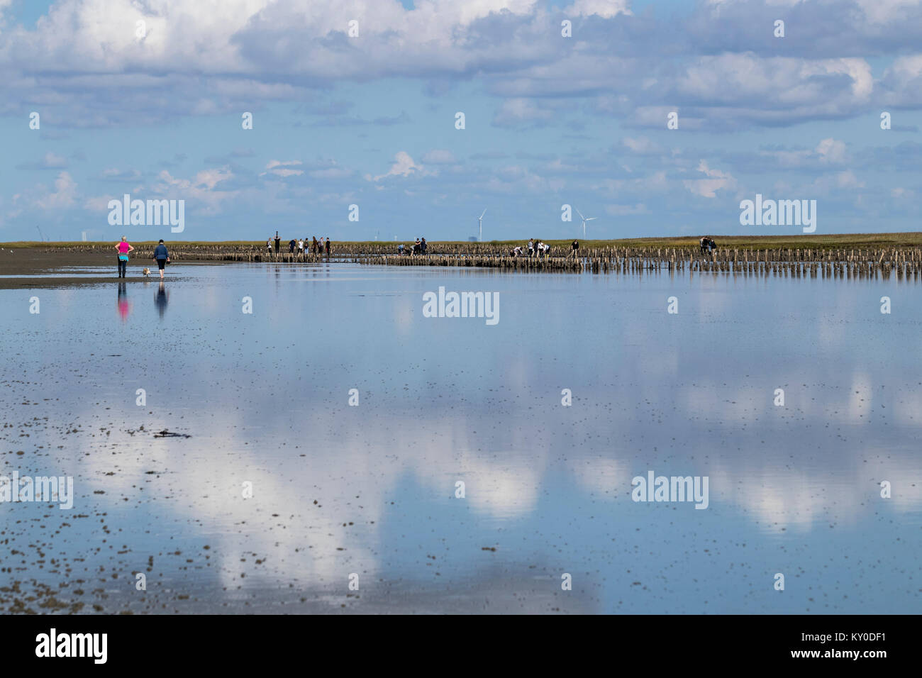 People walking on the tidal flats. Clouds and the sky reflecting in the ...