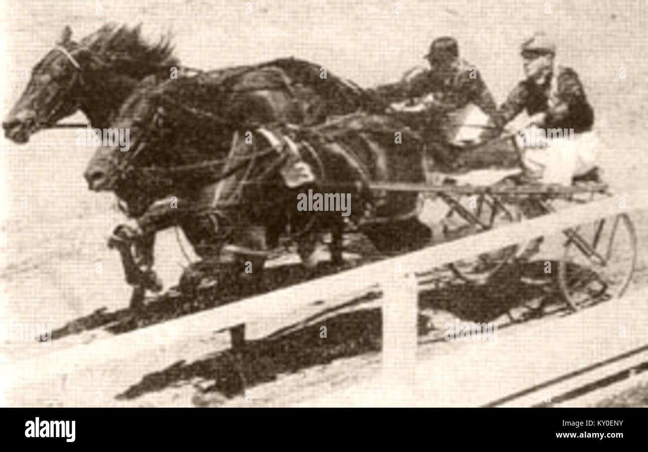 False Step (NZ) is a historic photograph capturing a moment of ...