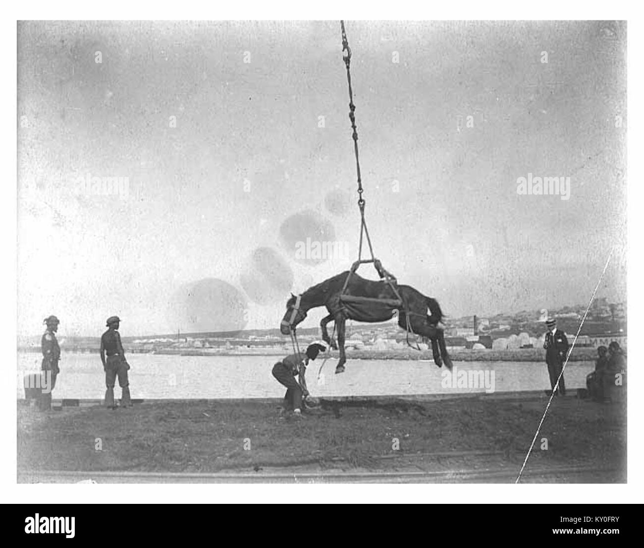 A historical photograph depicting African American laborers in Alaska ...