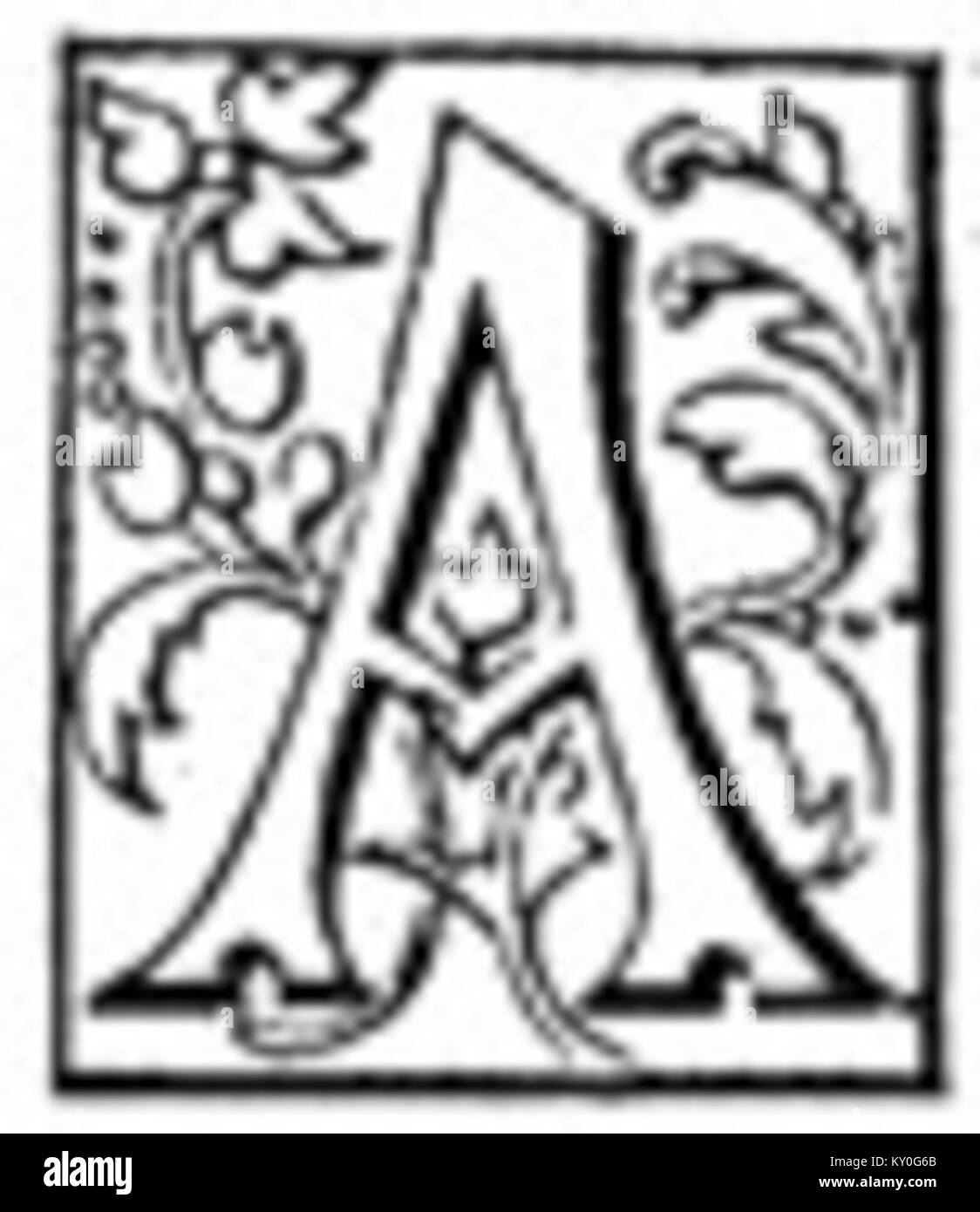 The *Fancy Drop Cap A* design showcases a decorative initial letter ...