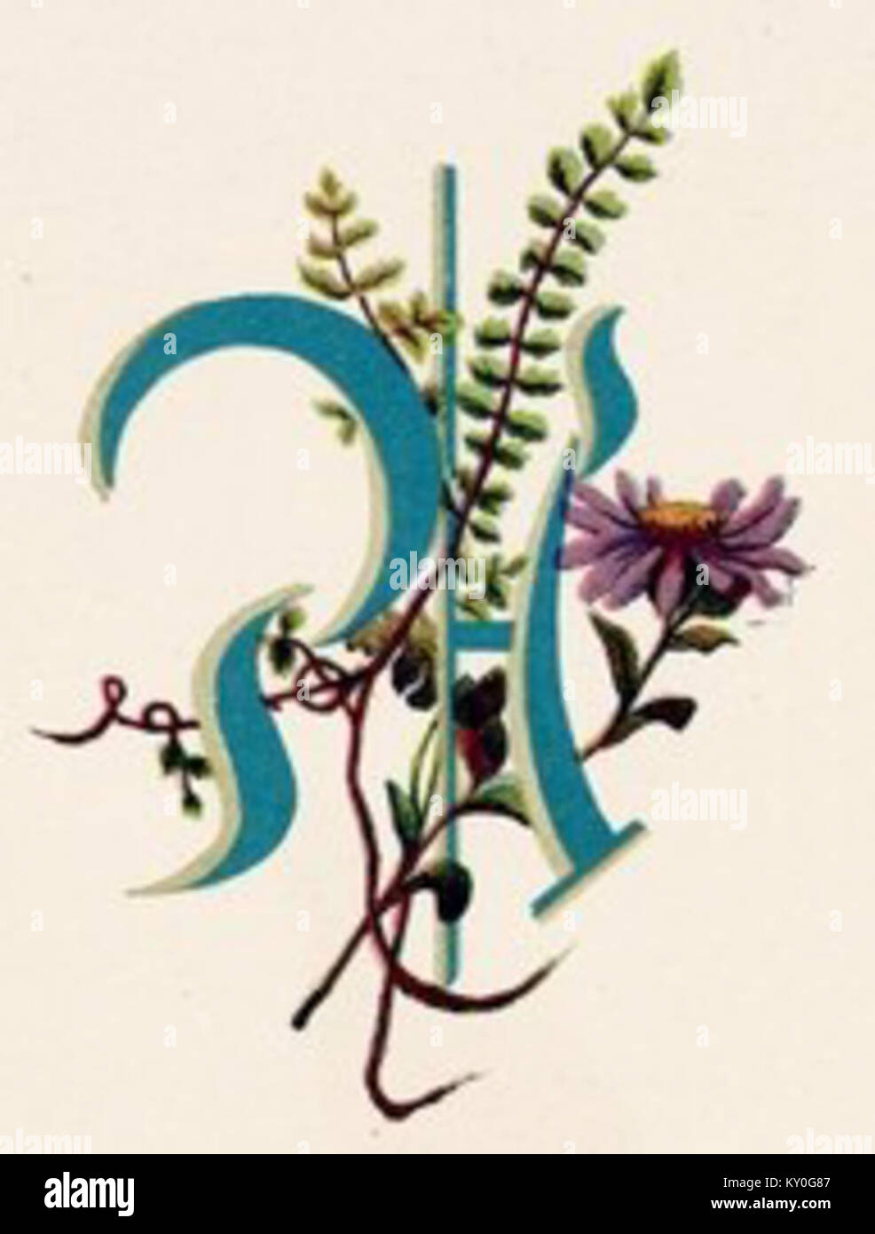 Fancy Letter A Image (1 Stock Photo - Alamy