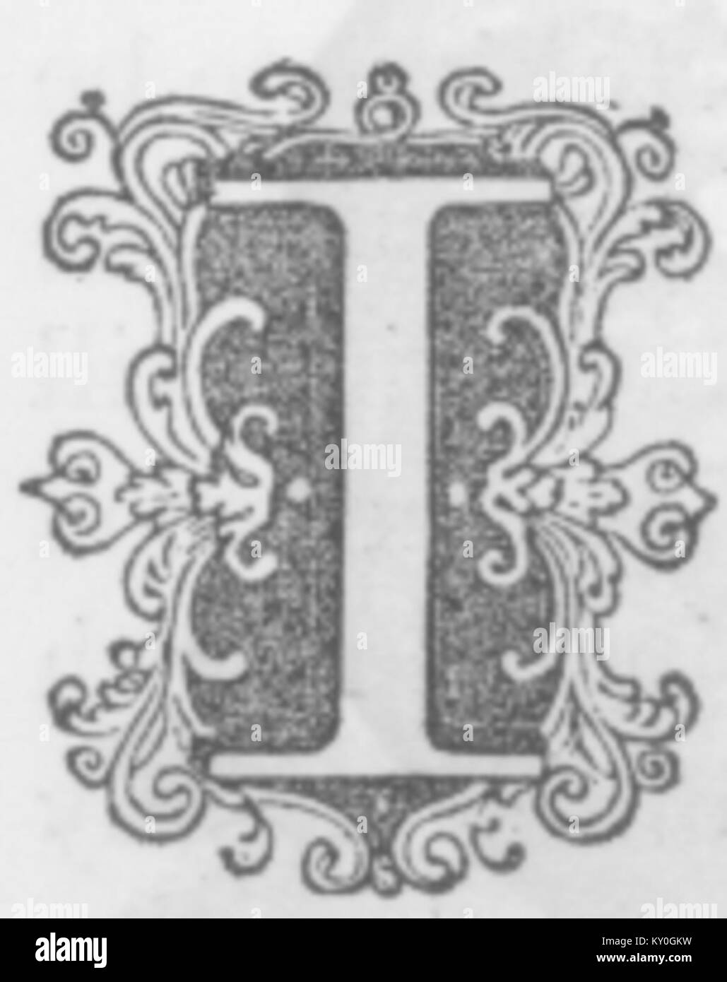 This image features a decorative letter 'I,' showcasing ornamental ...