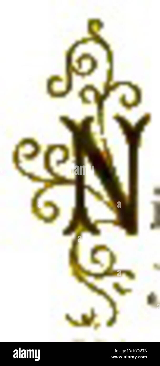 Fancy Letter N Image (1 Stock Photo - Alamy