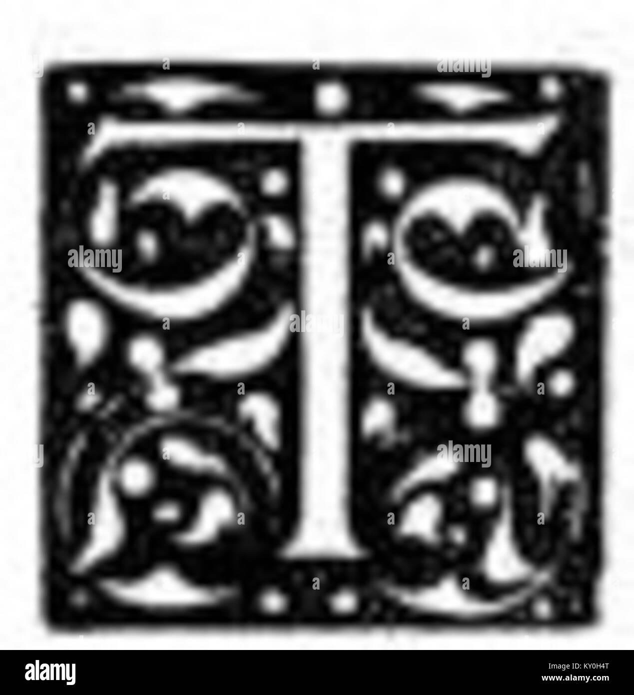 This decorative 'Fancy Letter T' from the 18th or 19th century ...