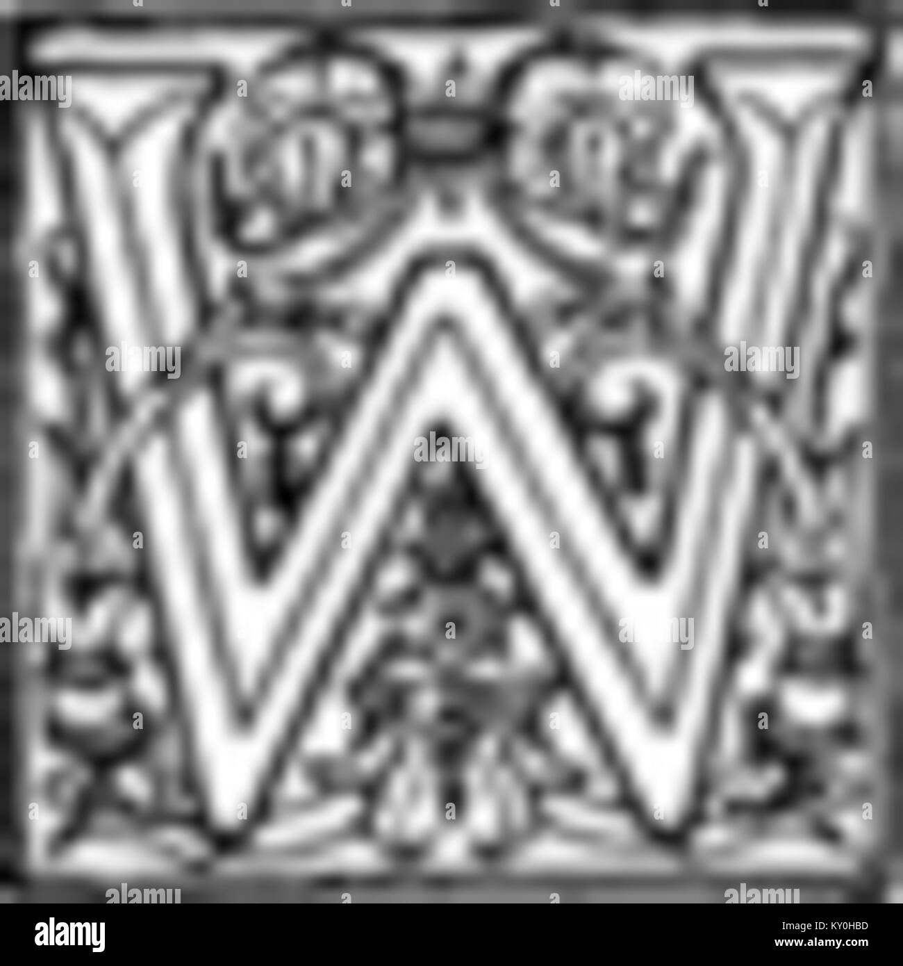 This image showcases a stylized fancy letter 'W', potentially from a ...