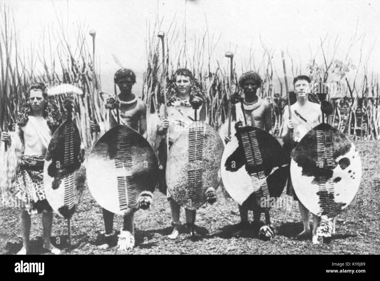 Impi hi-res stock photography and images - Alamy