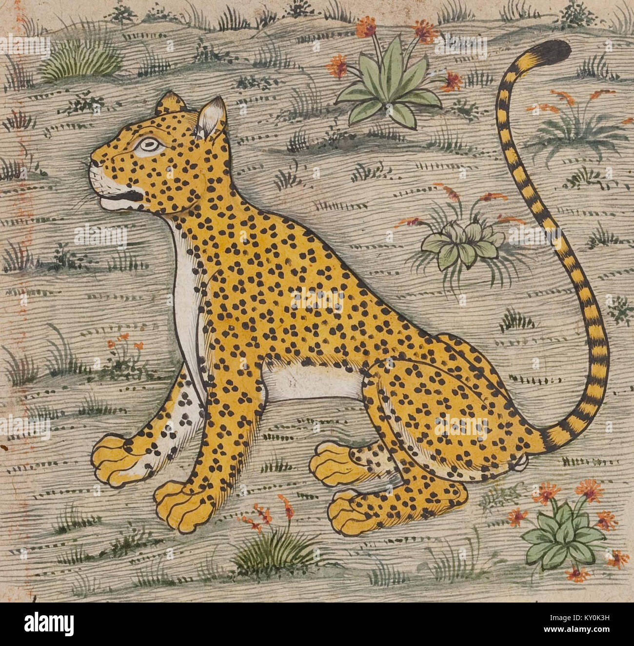 This image of a leopard inset, likely depicting a close-up of the ...