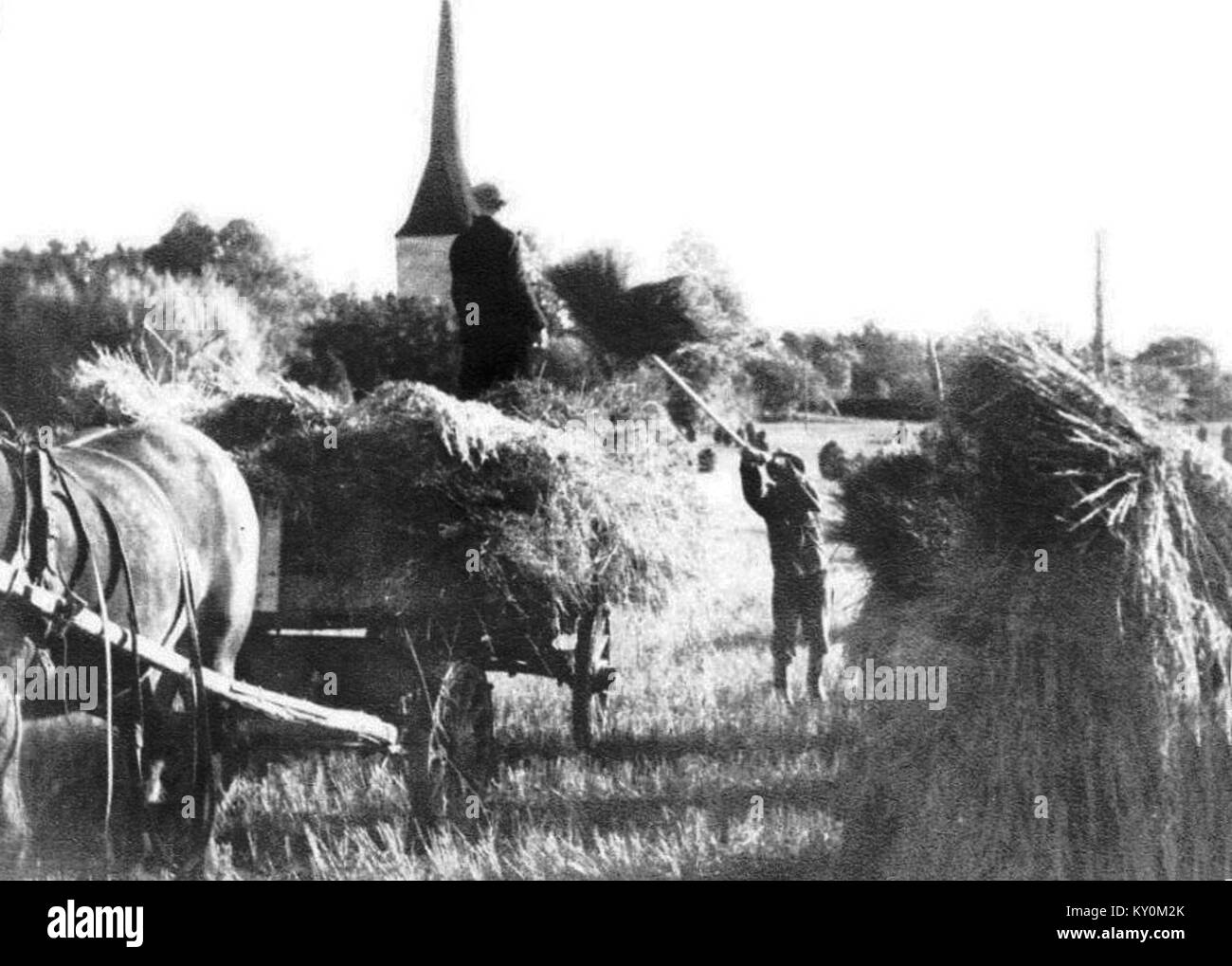 Hässlingeby farm in Sweden, photographed in 1943, shows a traditional ...