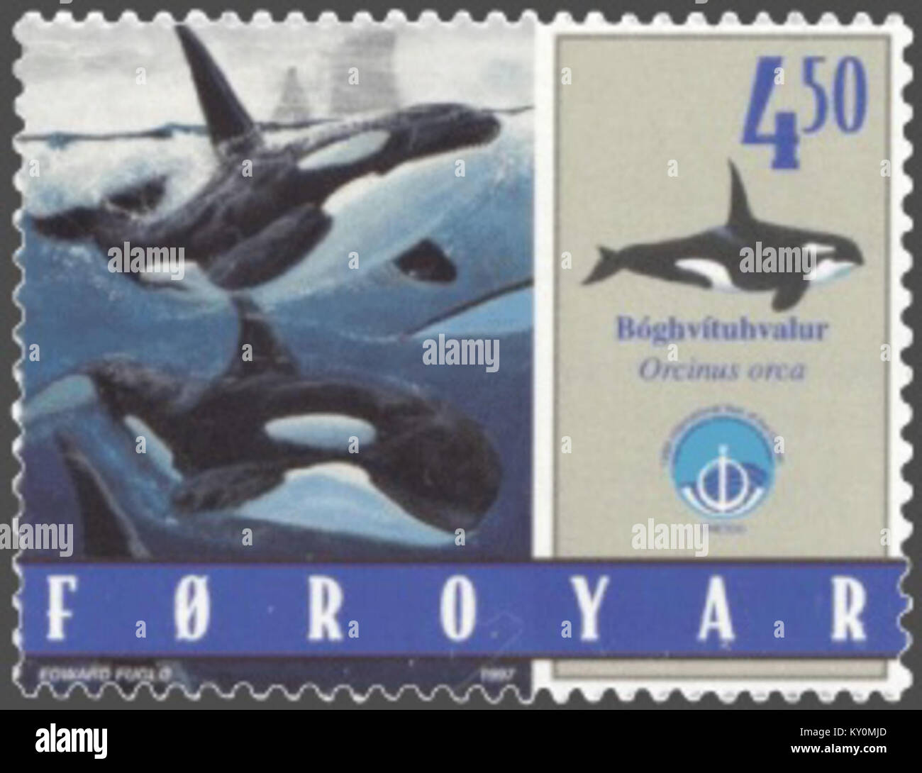 Faroe stamp 327 killer whale (Orcinus orca Stock Photo - Alamy