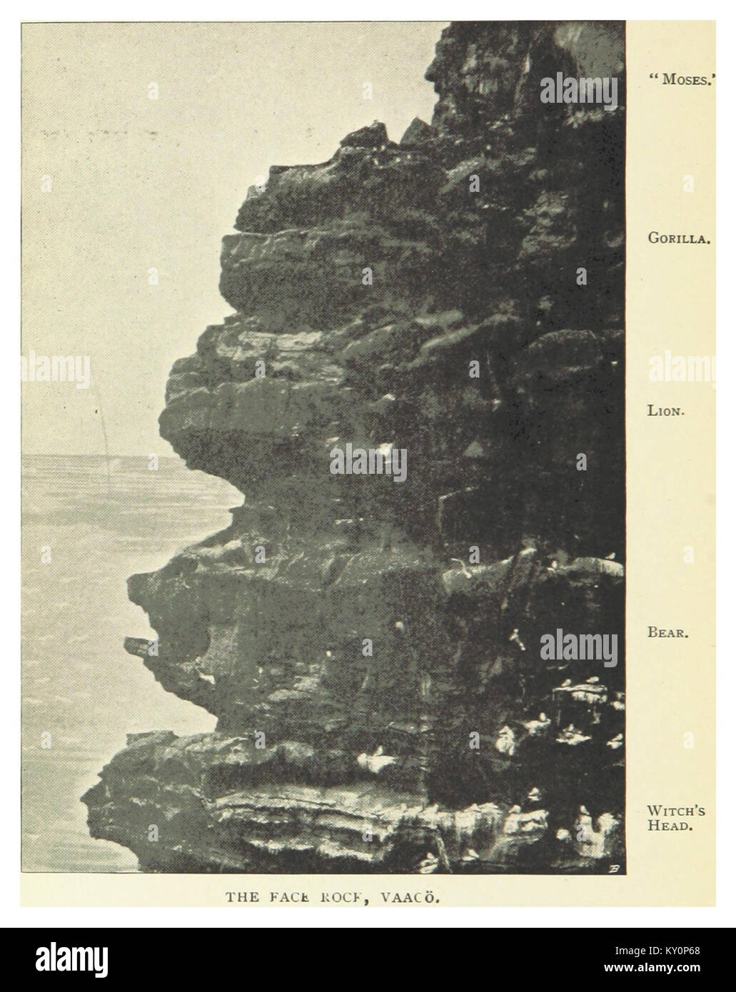 Notable feature Cut Out Stock Images & Pictures - Alamy