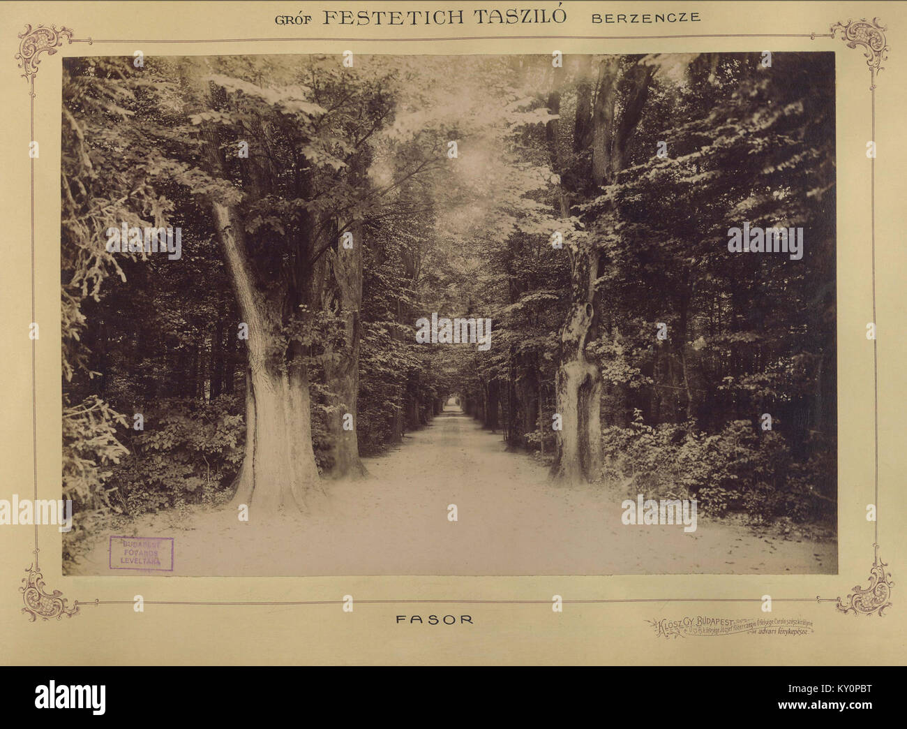 Berzence High Resolution Stock Photography and Images - Alamy