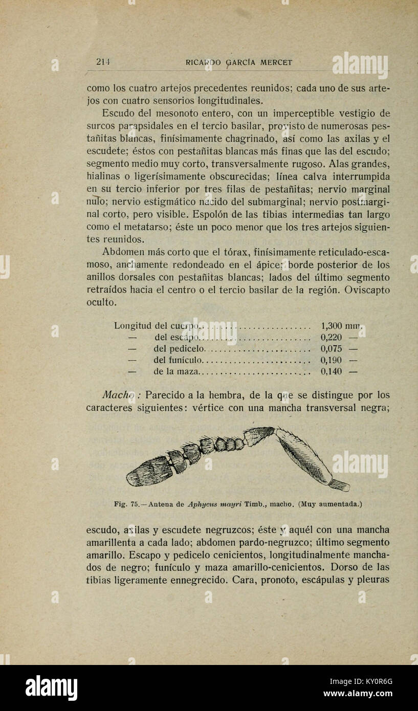 An illustration from 'Fauna Iberica,' depicting species of animals ...