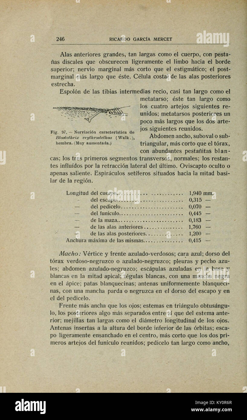 A page from the book 'Fauna ibérica,' documenting the fauna of the ...