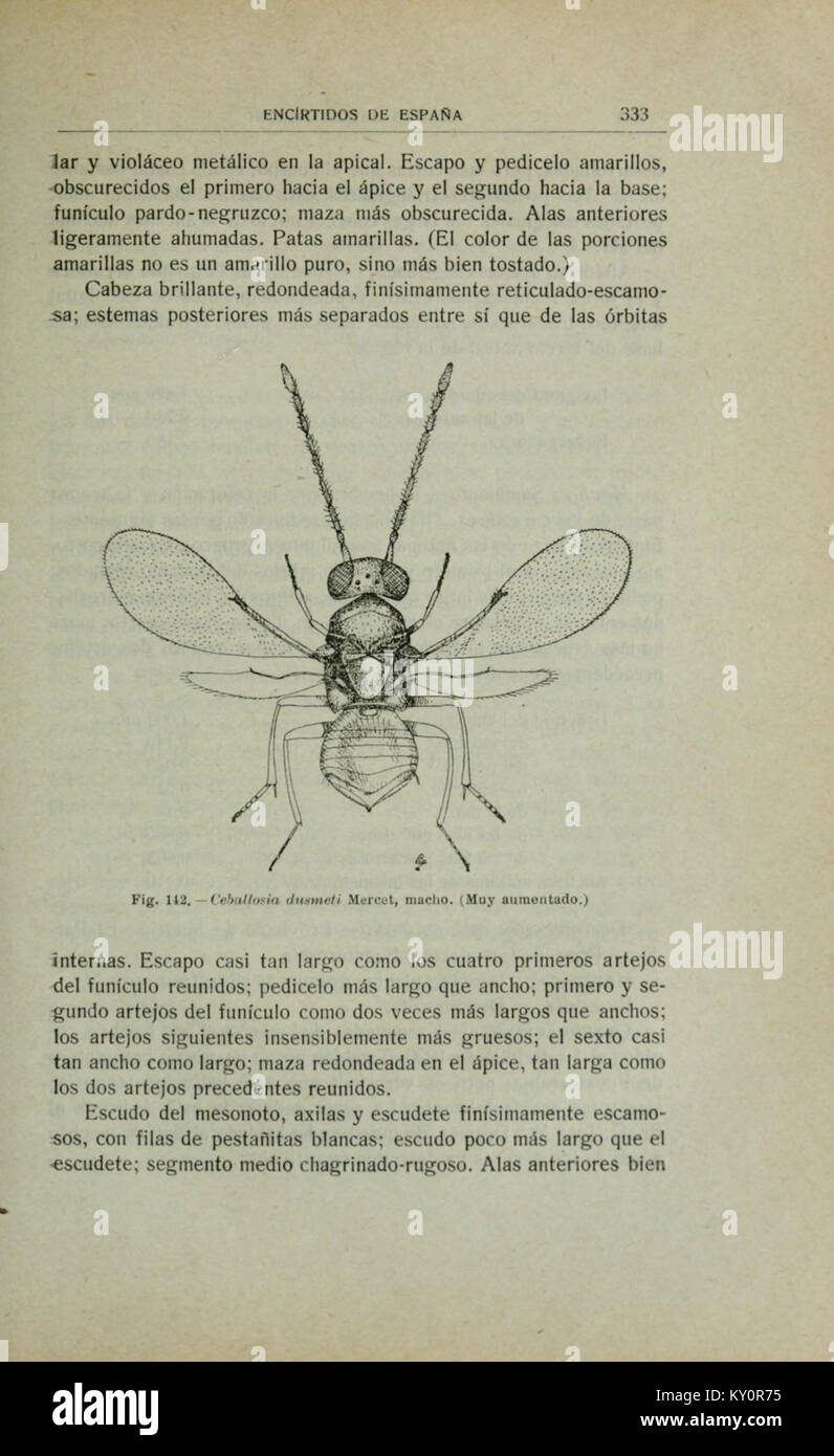 Fauna Ibérica is a reference work documenting the animal species of the ...