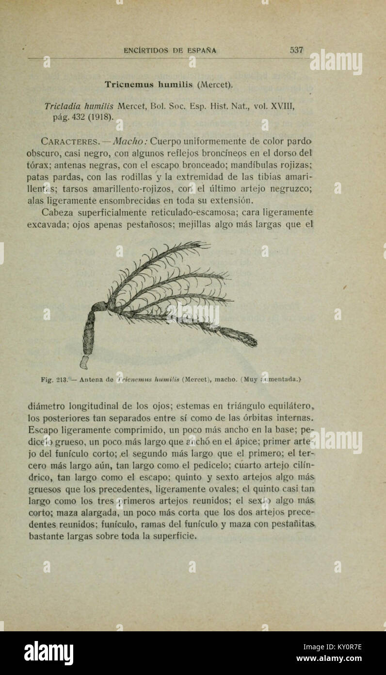 This image shows a page from 'Fauna ibérica', a comprehensive work ...