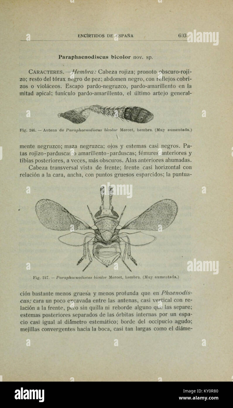 'Fauna Ibérica' is a comprehensive work on the animals of the Iberian ...