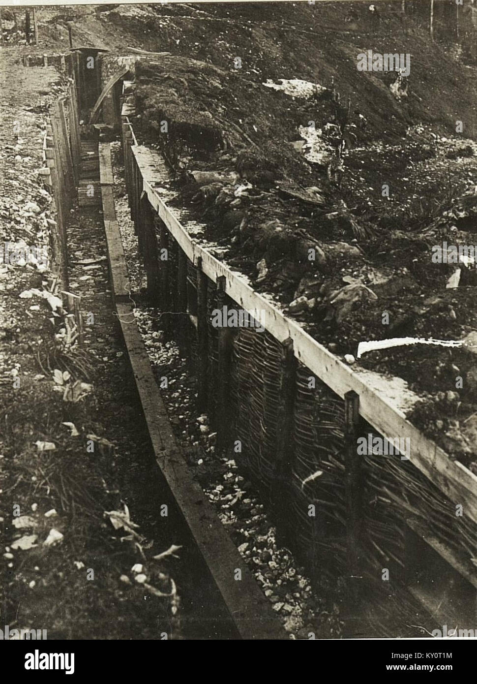 This image depicts the hostile trench lines at Pian, a significant site ...
