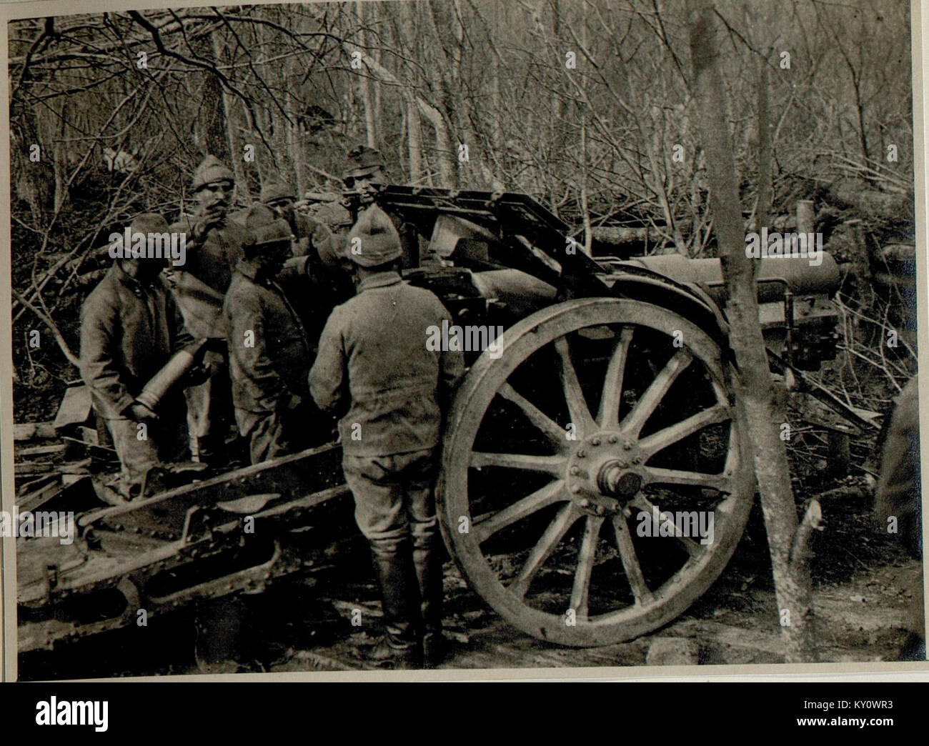 A 15 cm howitzer firing in the Taslan Forest, south of Beletesti ...