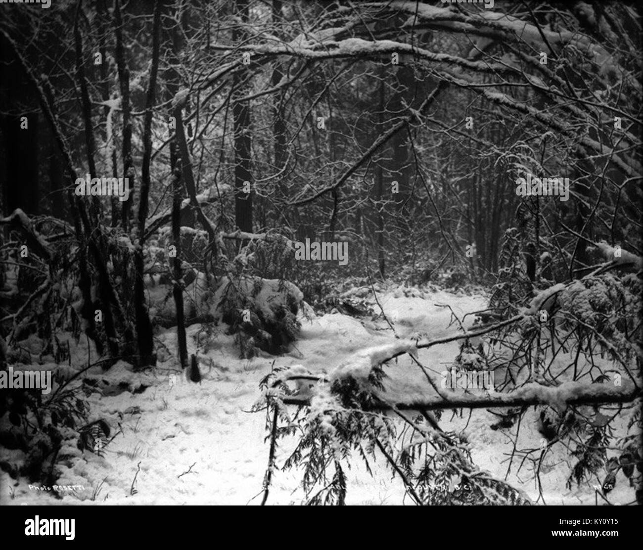 Public park in fall Black and White Stock Photos & Images - Alamy
