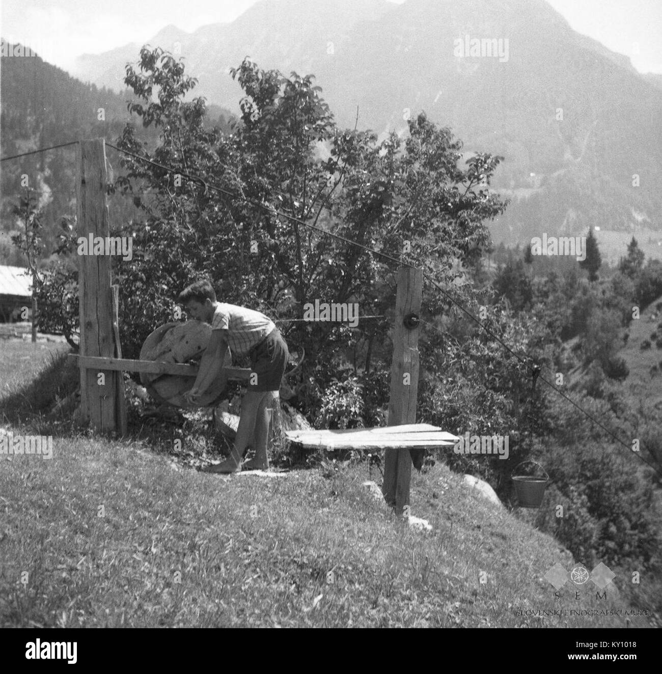 Forked structure Black and White Stock Photos & Images - Alamy