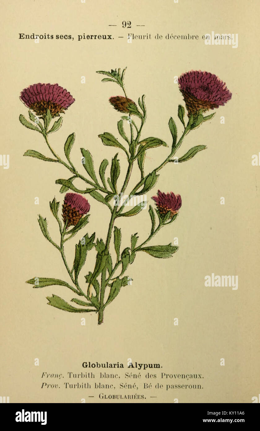 This botanical guide illustrates 144 plant species native to the ...