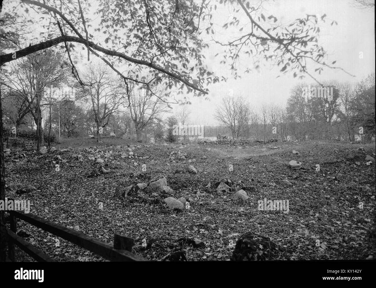 Photograph of the Vårfruberga monastery ruins in Fogdö, Sweden, showing ...