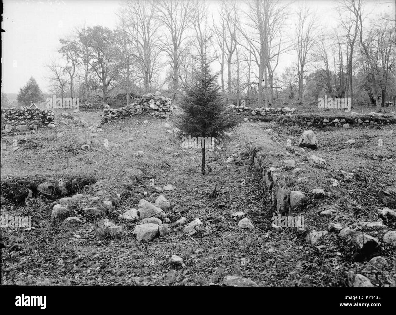 Photograph of the ruins of Vårfruberga Abbey located in Fogdö, Sweden ...